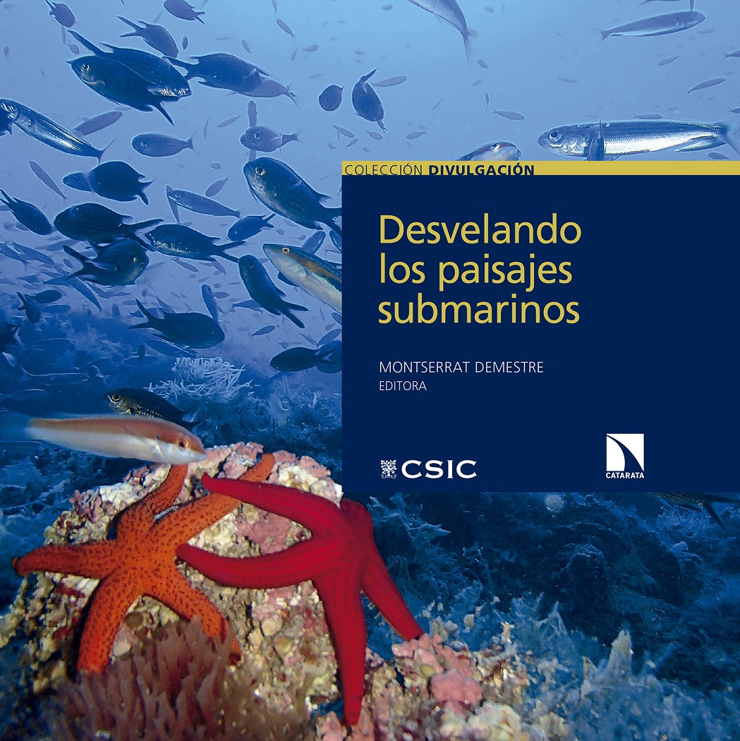 Desvelando Los Paisajes Submarinos